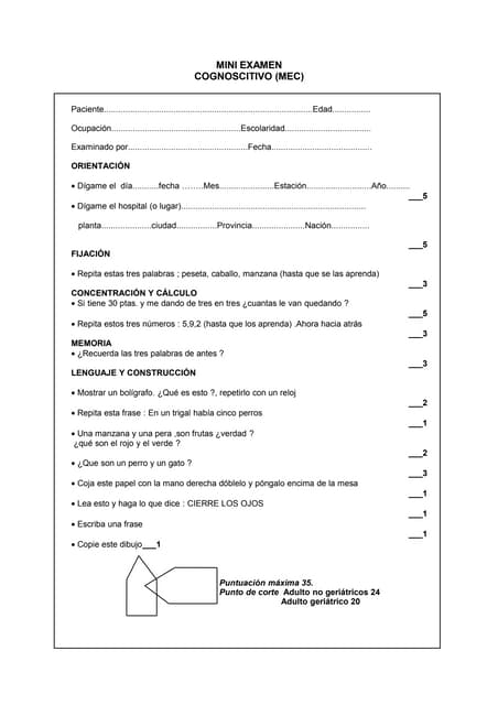 Mini-Mental State Examination | PDF | Brain and Nervous System ...