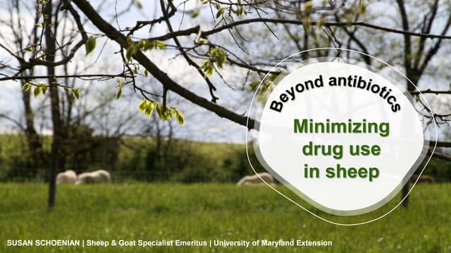 The Five Point Check® | PPTX