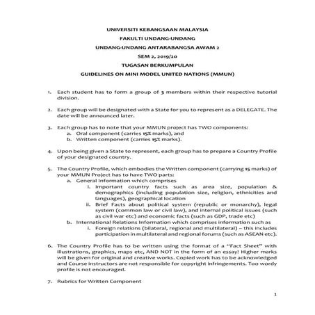 Mini model UN (Instructions) | PDF | Political Issues & policy | Politics