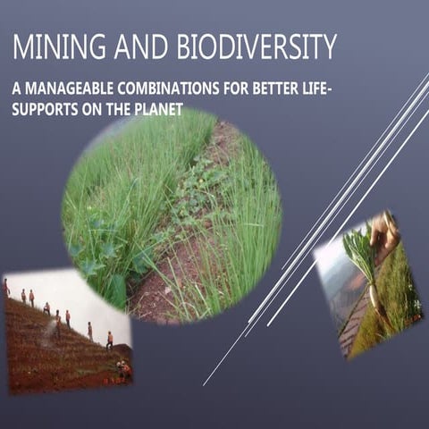 Mining biodiversity vetiver for dump and other | PPTX