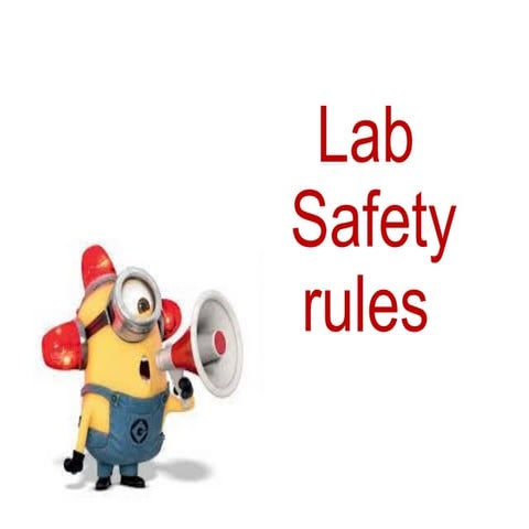 lab safety rules | PDF