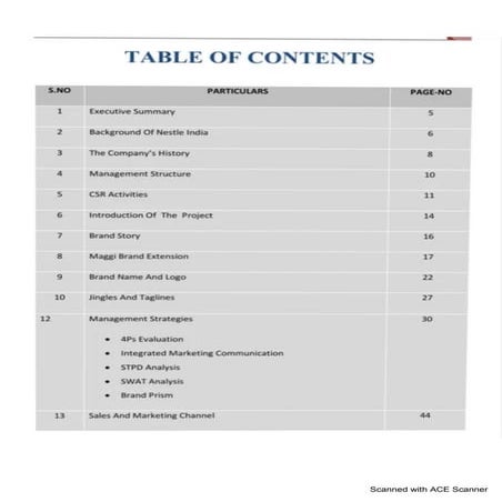 mini project (1).pdf