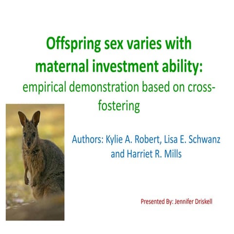 Mini Symposium | PPT