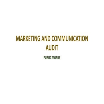 Mini website audit | PPTX