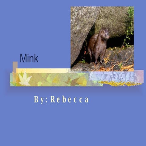 Mink by Rebecca | PPT