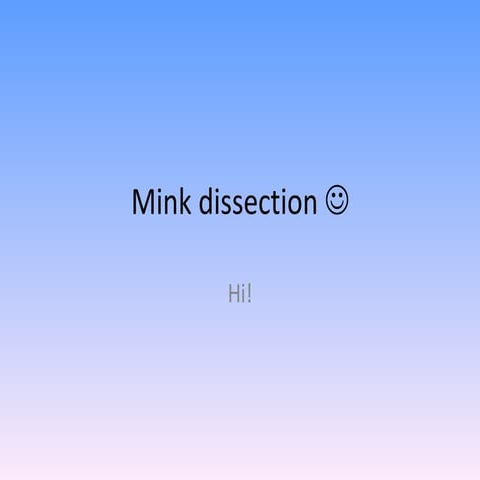 Mink Dissection | PPT