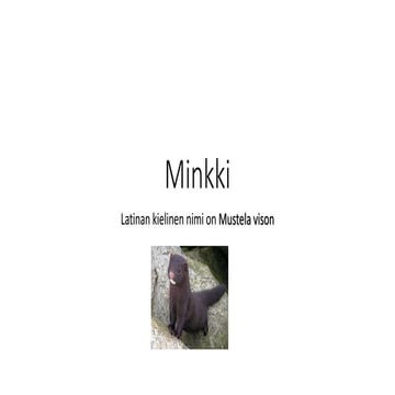 Minkki | PPTX