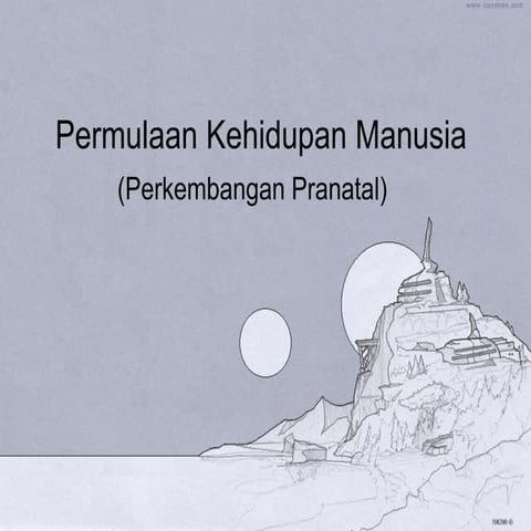 MIN MAP PRENATAL.pdf