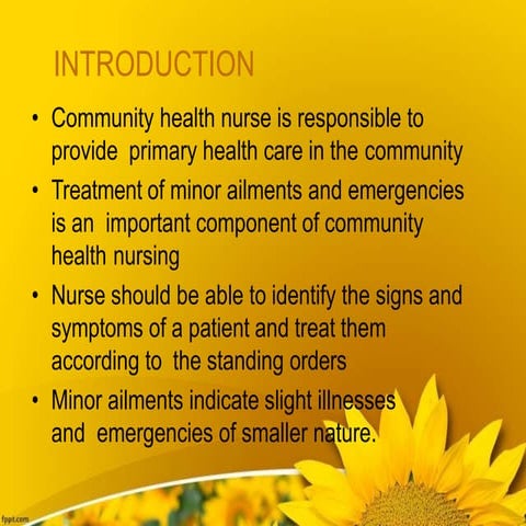 Minor ailments and first aid formalities | PPTX