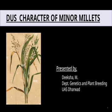 Minor_millets[1] new.pptx.................. | PPTX