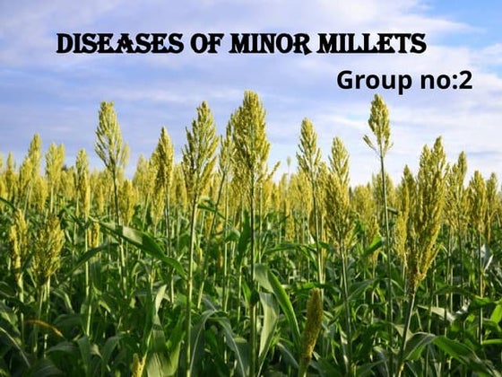 DISEASES OF PEARL MILLET (BAJRA).pptx | Gardening | Home & Garden