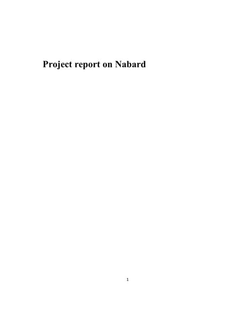 Potential Linked Plan of NABARD and its importance in DCP (District Credit Plan) | PPT