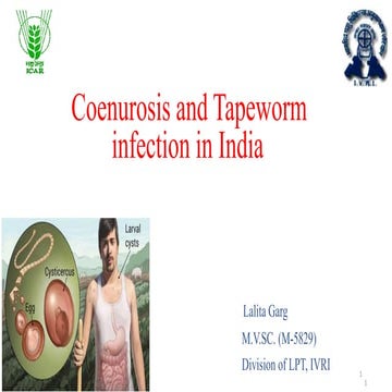 tapeworm infection | PPTX