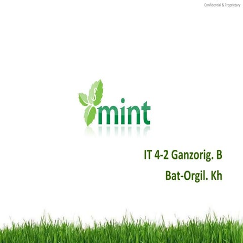 Mint | PPT