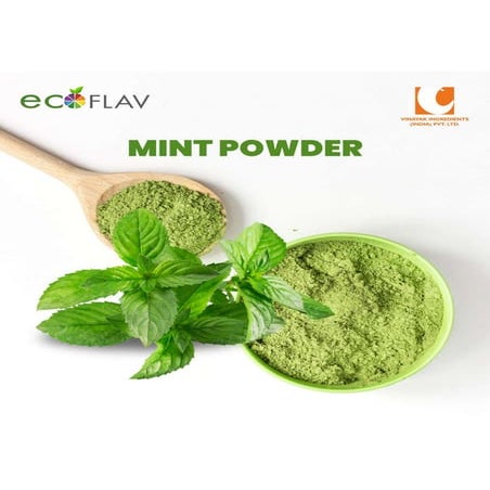 Discovering the Magic of Mint: A Flavorful Journey | PDF