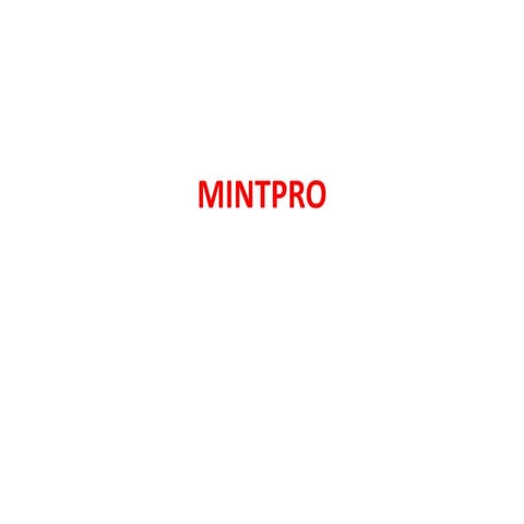 Mintpro | PPTX | Business and Finance