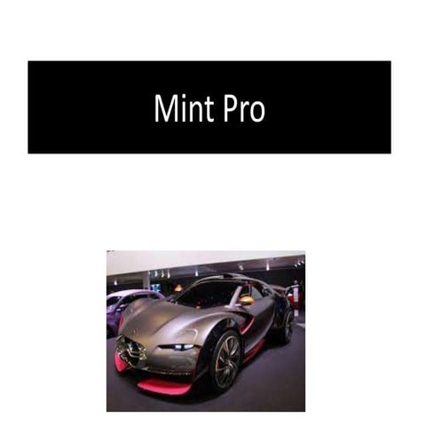 Mint pro