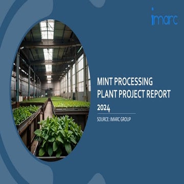Mint processing plant project report.pptx