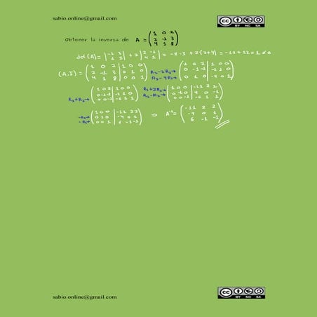 Matriz inversa | PDF