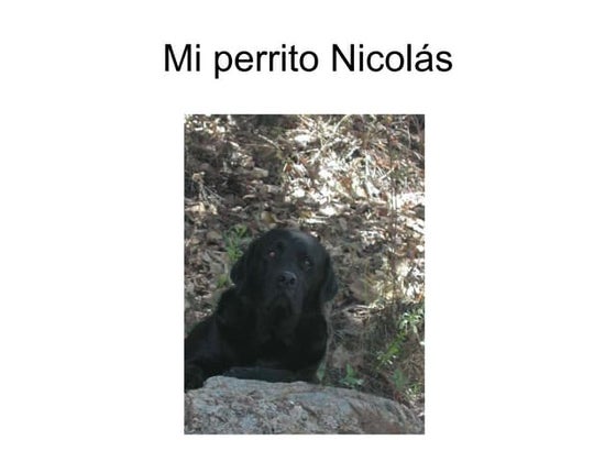 POSTERMILWAUKEE | PDF