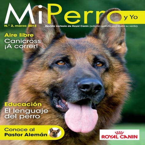 Mi perro y_yo_num2_marzo_2013 | PDF