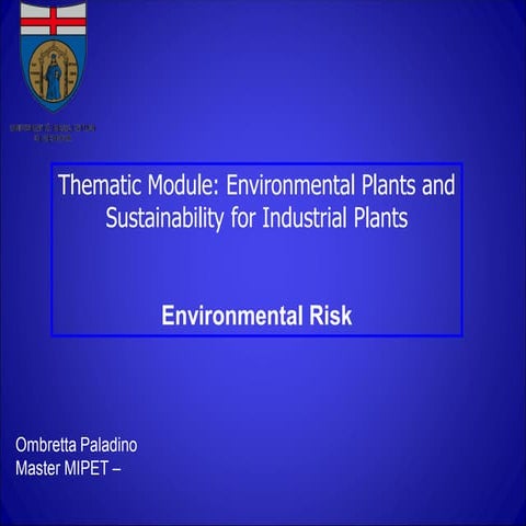 MIPET1 IPPC _Paladino.pdf