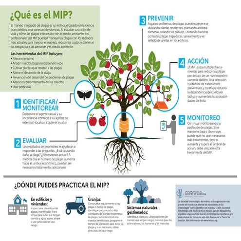 mip infografia.pdf