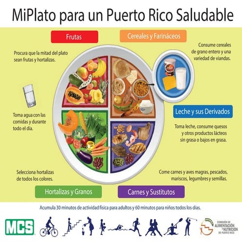 Mi plato hoja-educativa (3) | PDF