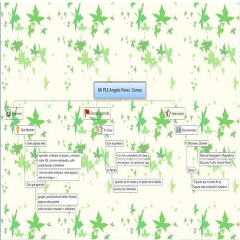 Mi ple angelo perez correa | PPTX