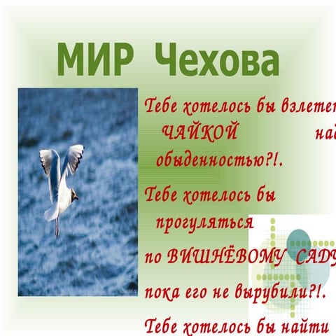 Sharl perro | PPT