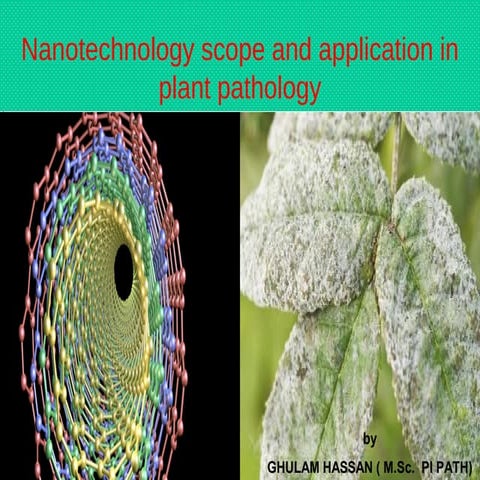 Nanotechnology scope and application in plant pathology | PPT