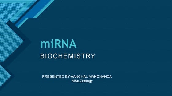 miRNA | PPTX