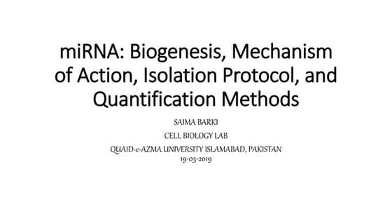 Pathways07 mi rna | PDF