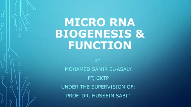 miRNA | PPTX