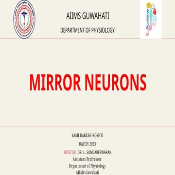 Exploring the Role of Mirror Neurons: Understanding Their Impact on ...