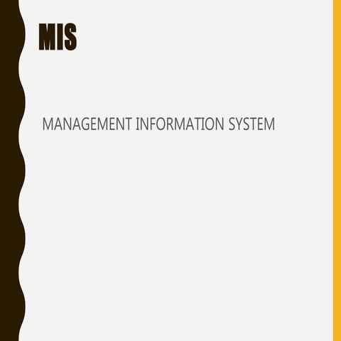 MIS.pptx