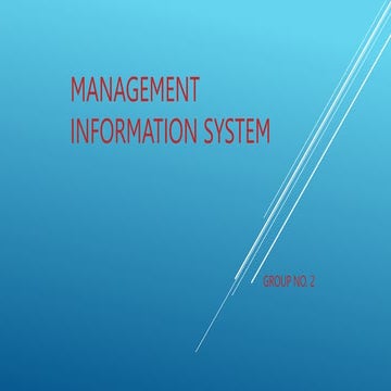 Management Information System PPT | PPTX