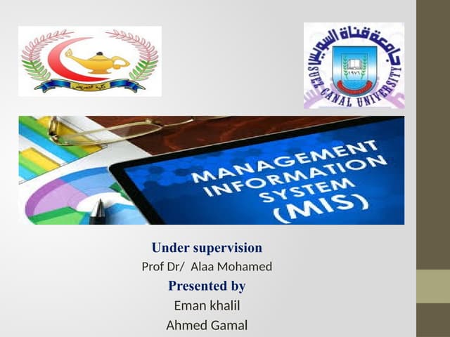 Management Information System ( MIS ) | PPTX