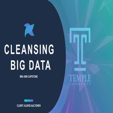 MIS 4596 Final Presentaion | PPTX