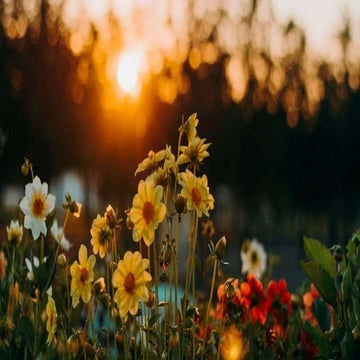 ILOCANO PRAYER Mamatiak, Amami, Ave Maria, Gloria | PPTX