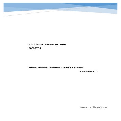 Mis assignment 2013 | PDF
