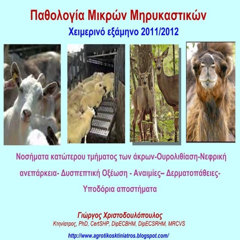 Νοσήματα κατώτερου τμήματος των άκρων και άλλα! | PPT