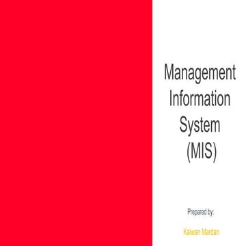 mis for IT.pptx