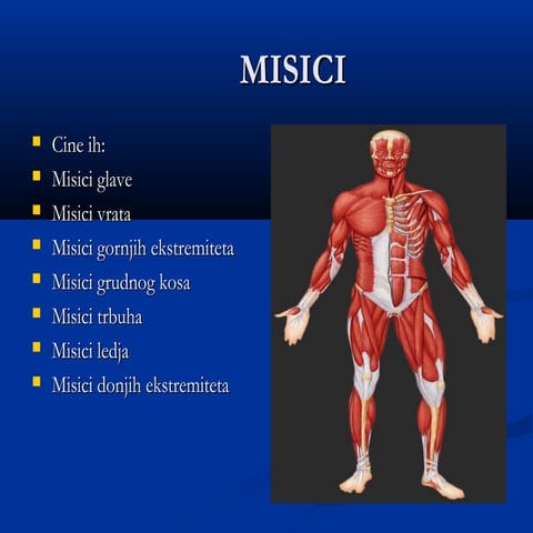 Svi misici | PPT