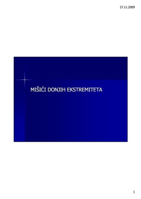 Mišici zadnje strane vrata tabela (3) | PPT