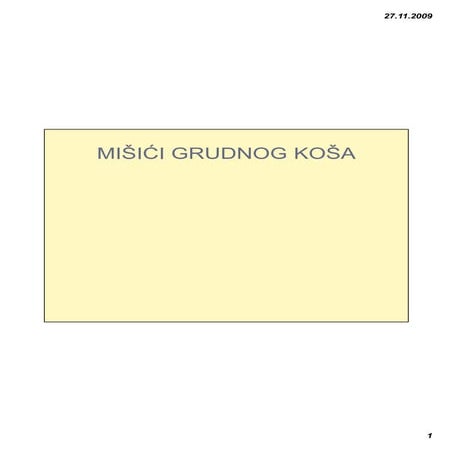 Misici zidova grudnog kosa | PDF