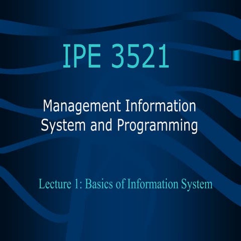 Mis Lecture 01 1 Pdf