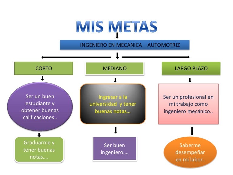 Mis metas