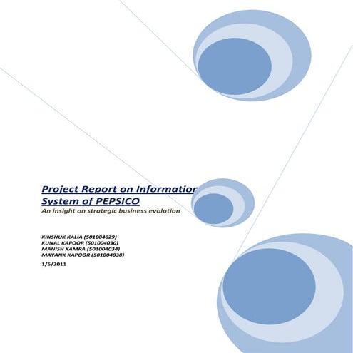 PEPSICO MIS project report | DOCX