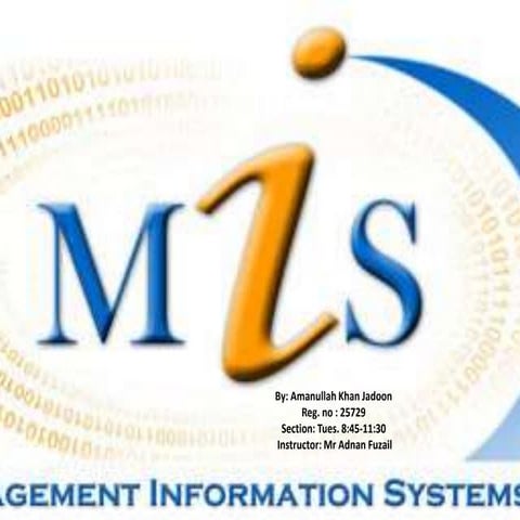 MIS project On Ziauddin Hospital | PPTX | Healthcare Industry | Industries